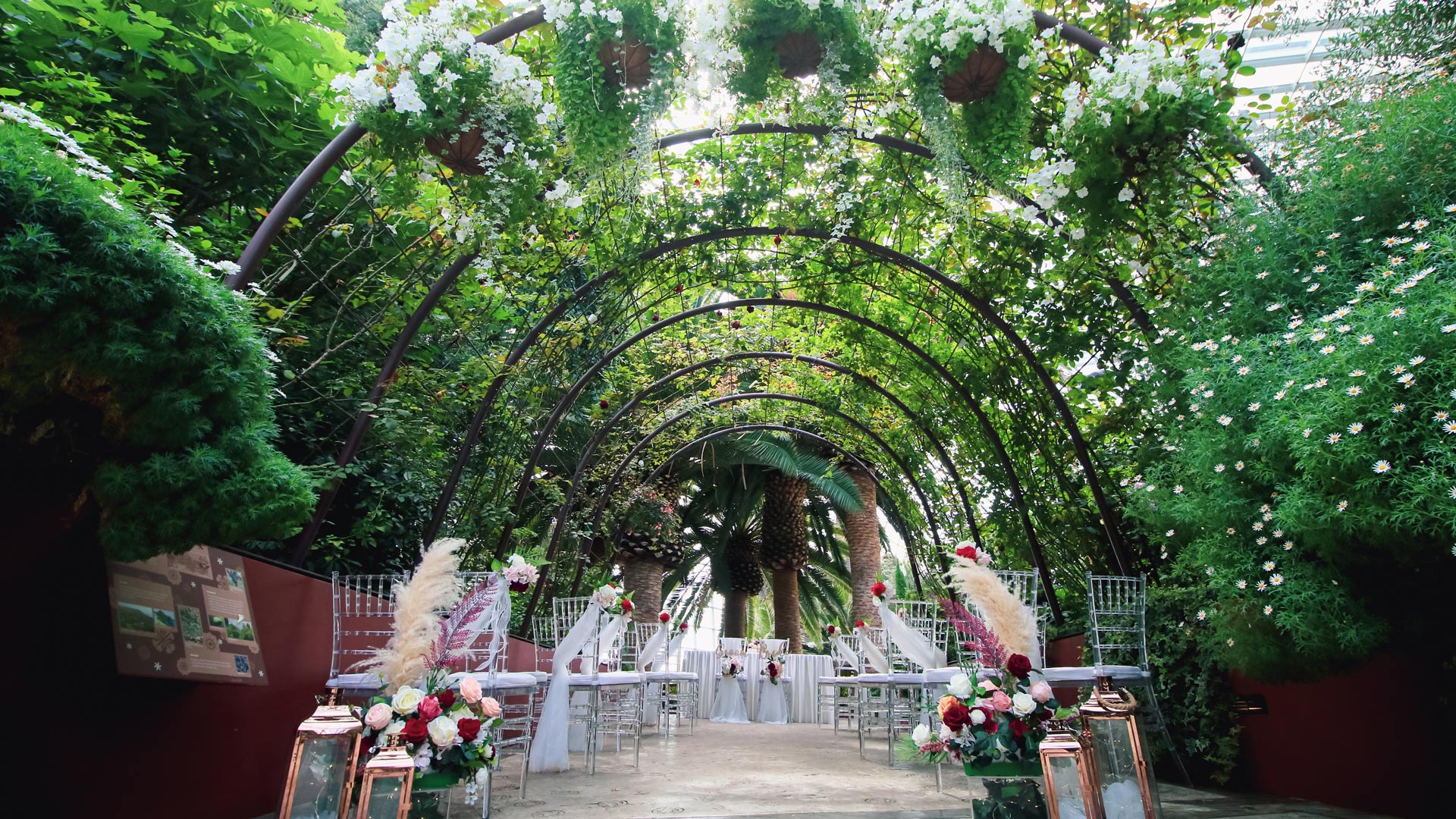 Ficus Room