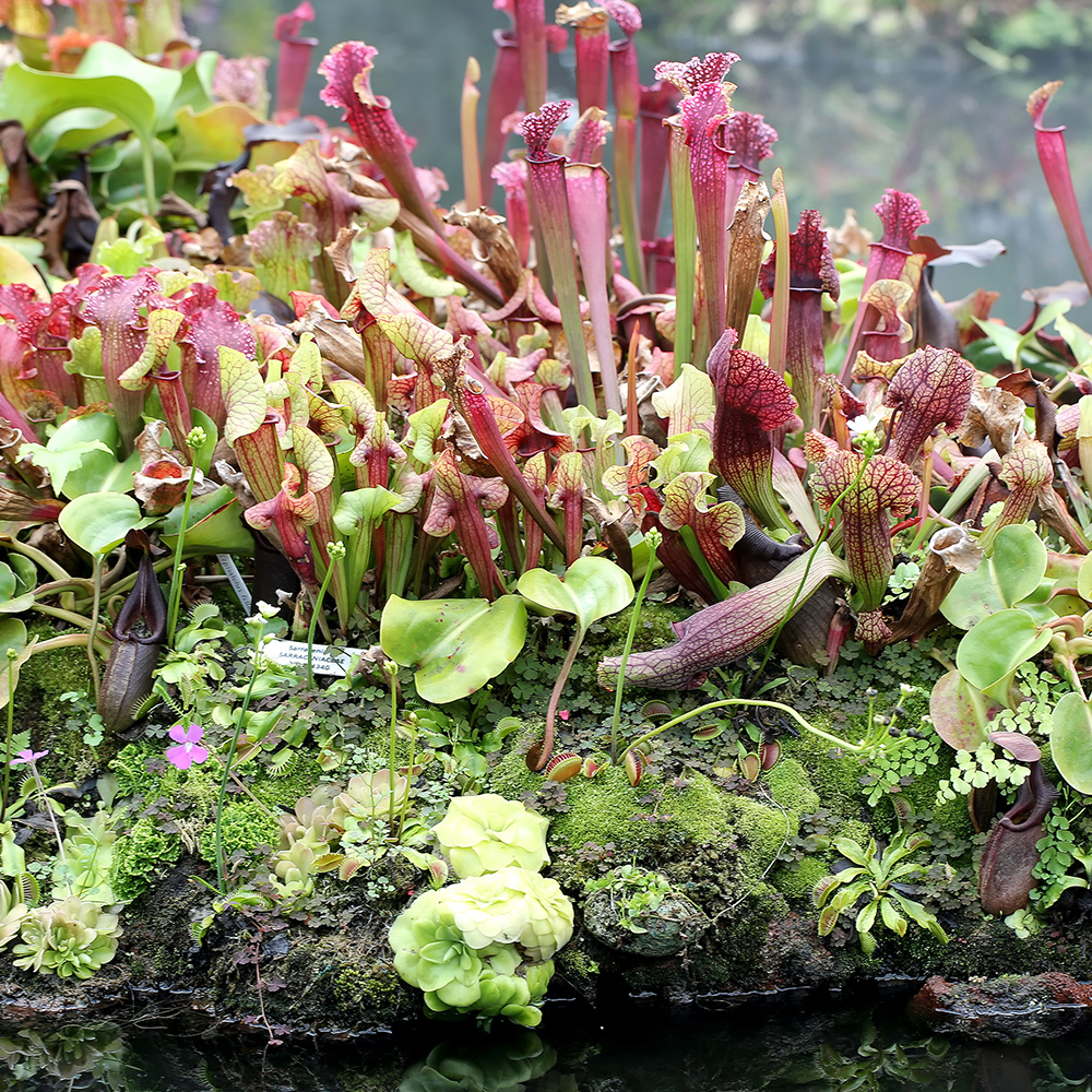 Stretched to the Limit