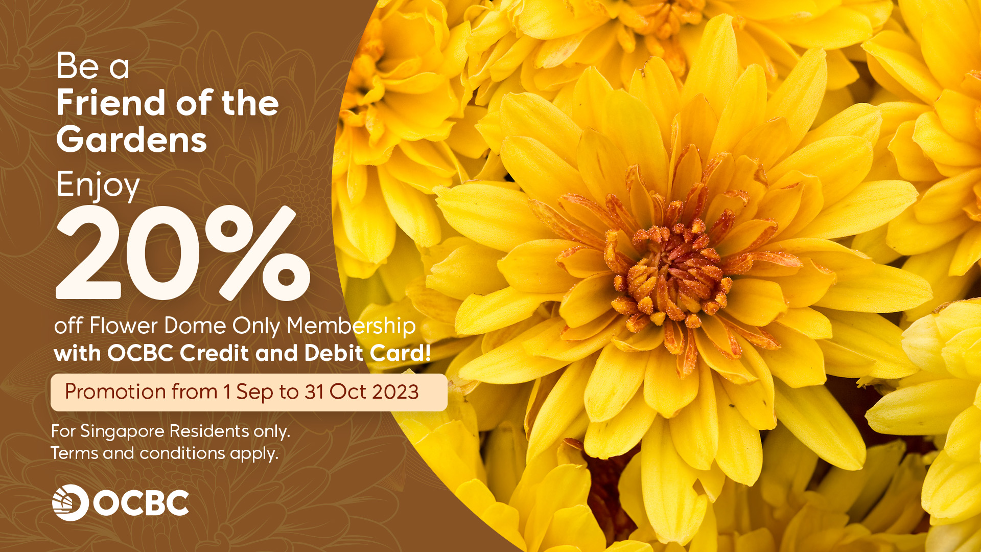 Exclusive Use of Attractions for Personal Photoshoots.