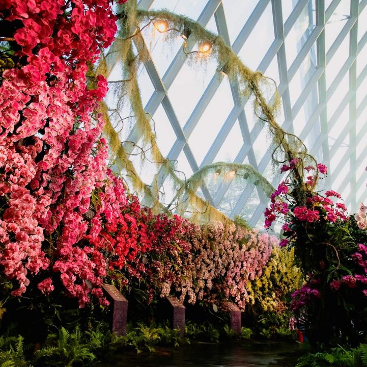 Garden Rhapsody - Gardens by the Bay