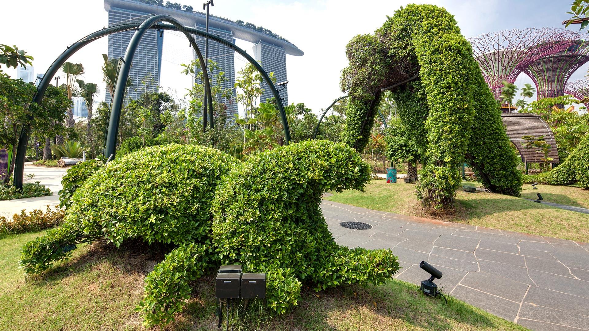 World Of Plants World Of Plants