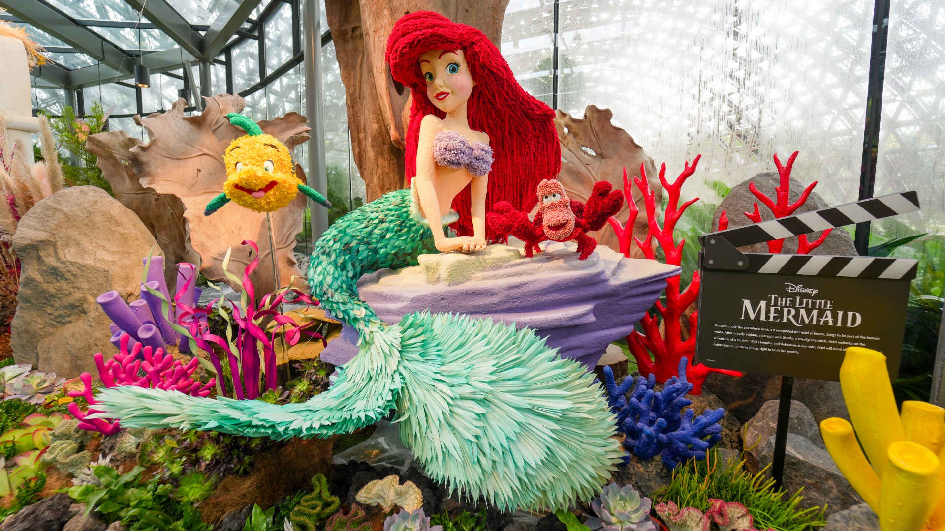 Disney Garden of Wonder at Floral Fantasy