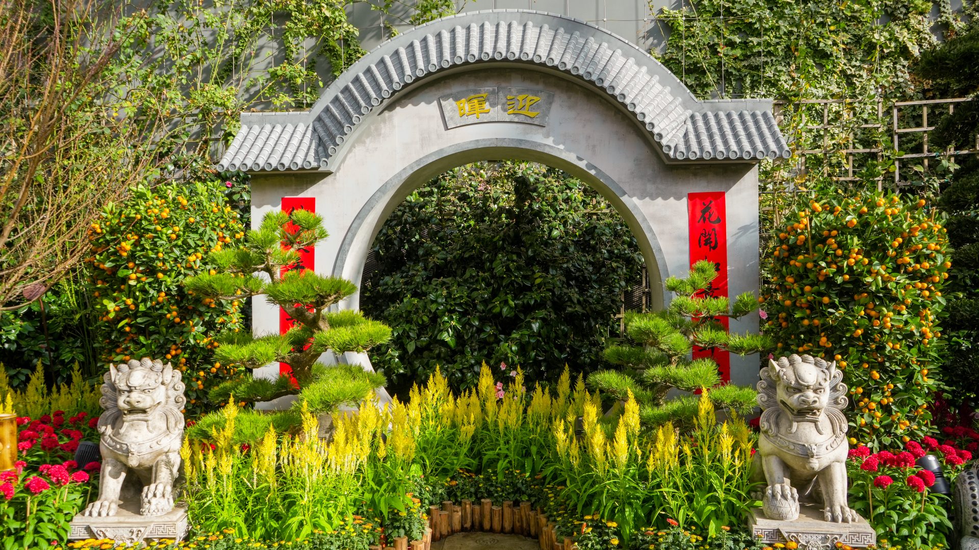 Chinese Flower Gardens The Chinese Scholars Garden, Staten Island